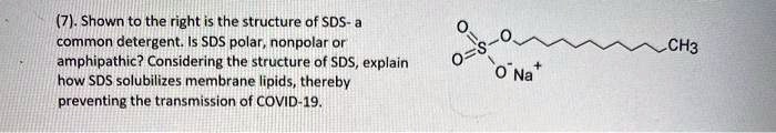 SOLVED: (7). Shown to the right is the structure of SDS common ...