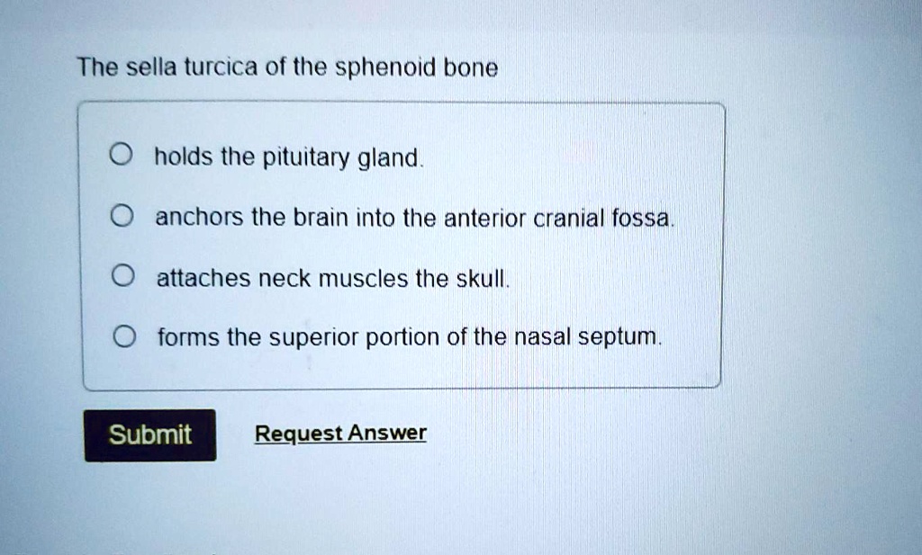 The sella turcica of the sphenoid bone Oholds the pituitary gland ...