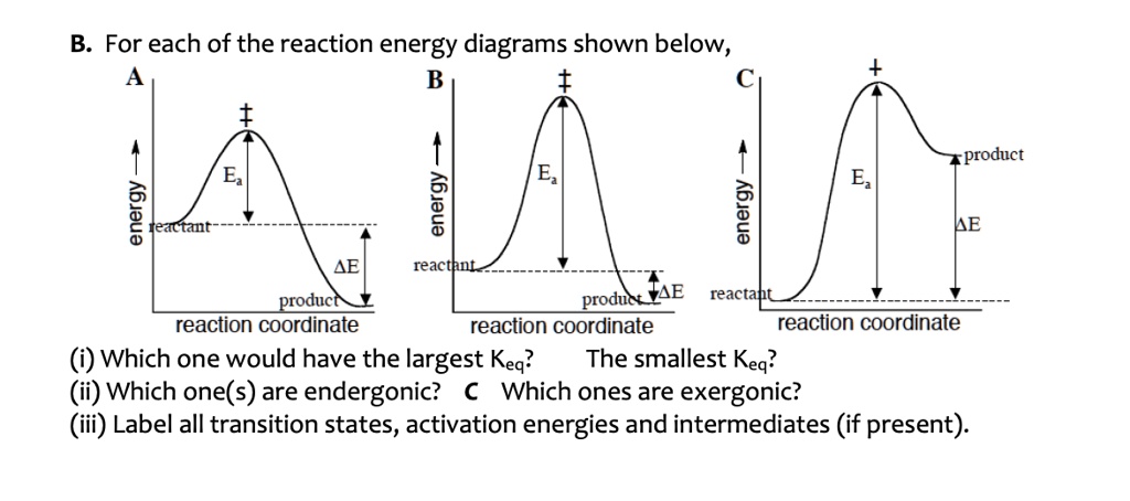 SOLVED: B For each of the reaction energy diagrams shown below, B ...