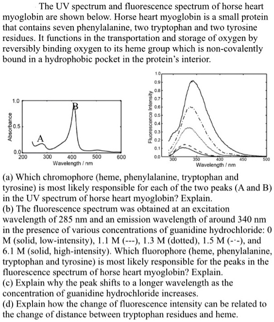 SOLVED: The UV spectrum and fluorescence spectrum of horse heart ...