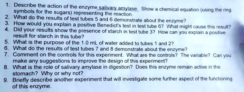 the effect of enzymes on molecular structure salivary amylase lab ...