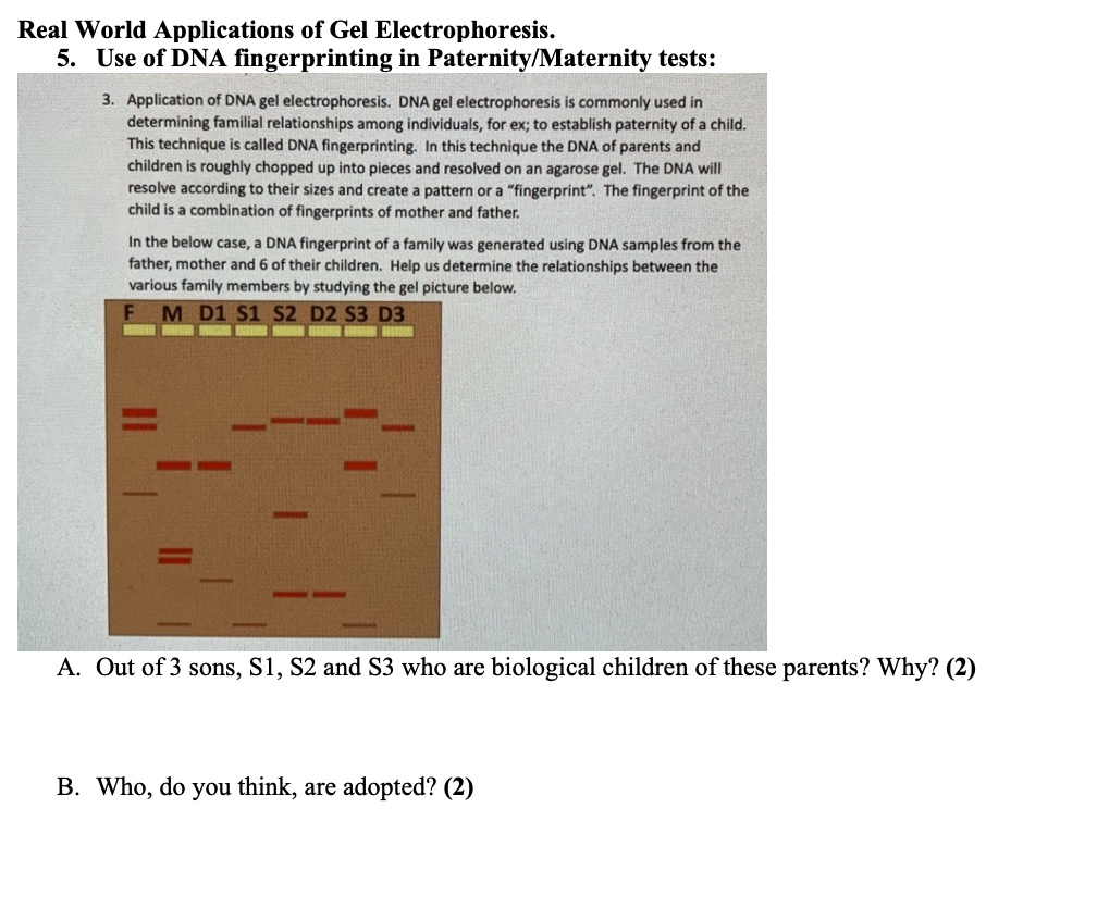 real world applications of gel electrophoresis 5 use of dna ...