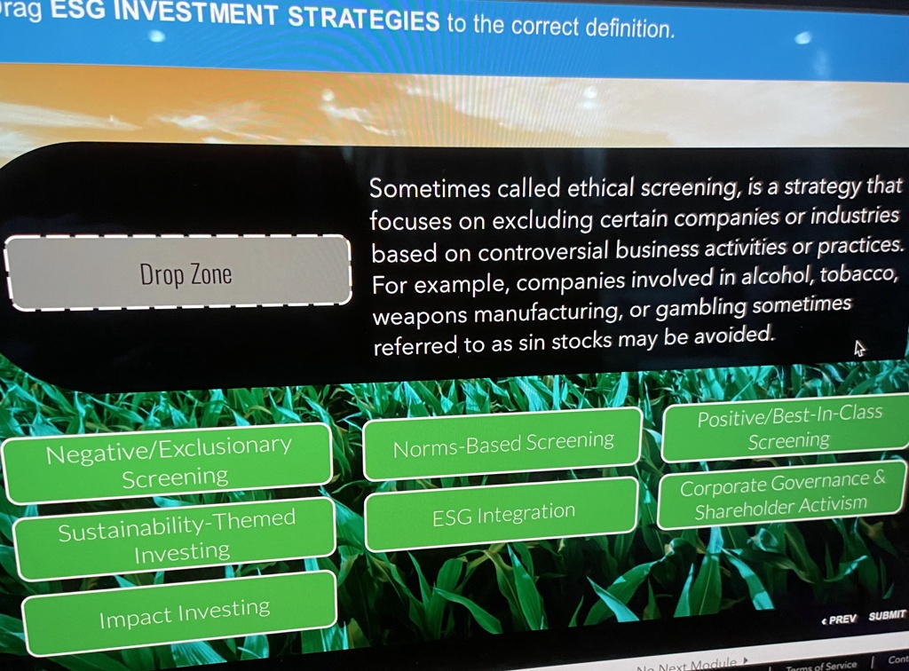rag ESG INVESTMENT STRATEGIES to the correct definition. Drop Zone ...