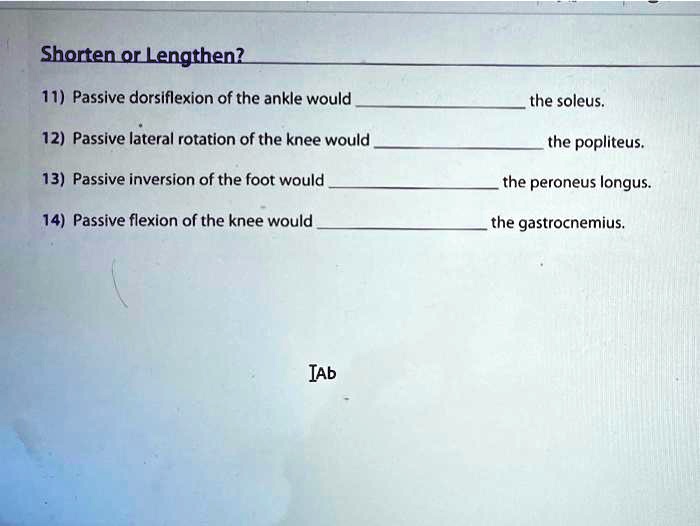 Shorten or Lengthen? 11) Passive dorsiflexion of the ankle would the ...
