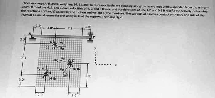 SOLVED: Texts: Three monkeys A, B, and C weighing 14, 11, and 16 lb ...