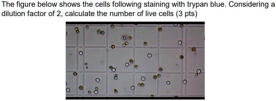 The figure below shows the cells following staining with trypan blue ...