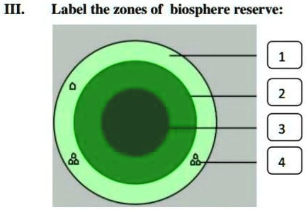 SOLVED: "give correct answer Label the zones of biosphere reserve: 'I"