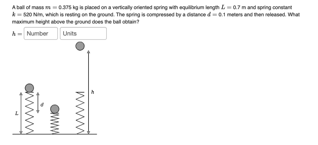 A ball of mass m = 0.375 kg is placed on a vertically oriented spring ...