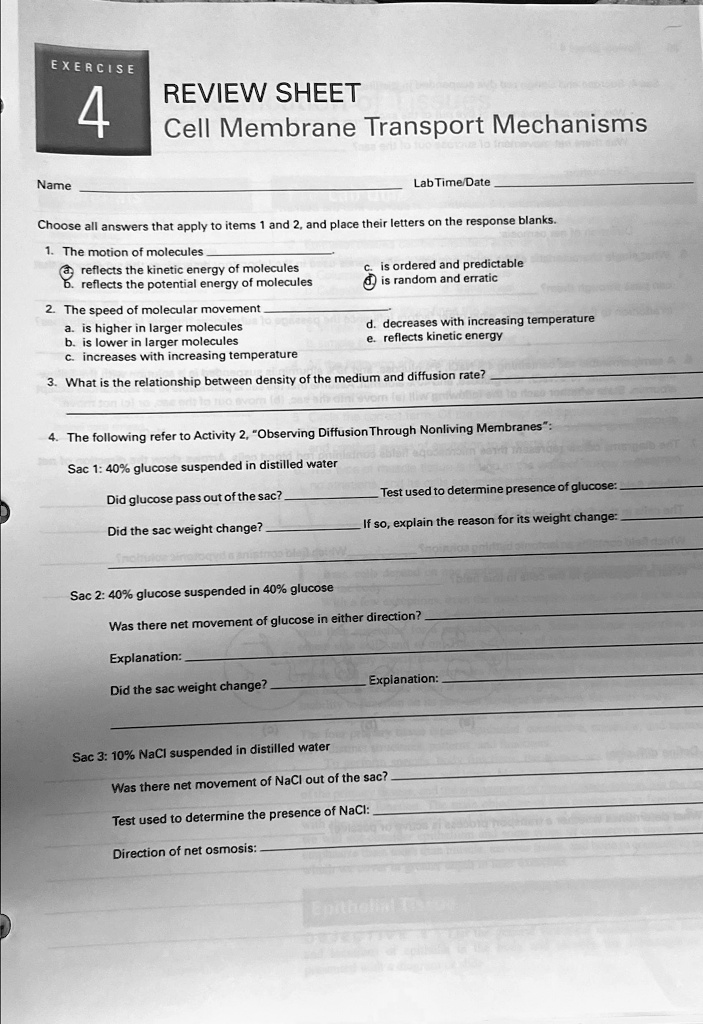 exercise review sheet cell membrane transport mechanisms name lab timedate choose all answers ...