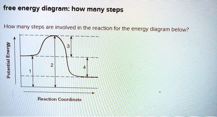 SOLVED: free energy diagram: how many steps How many steps are involved ...