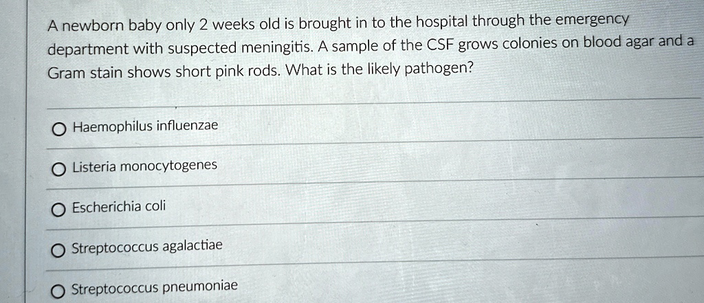 a newborn baby only 2 weeks old is brought in to the hospital through ...