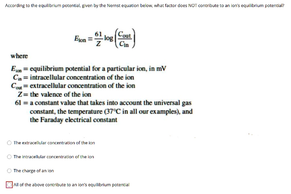 According to the equilibrium potential, given by the Nernst equation ...