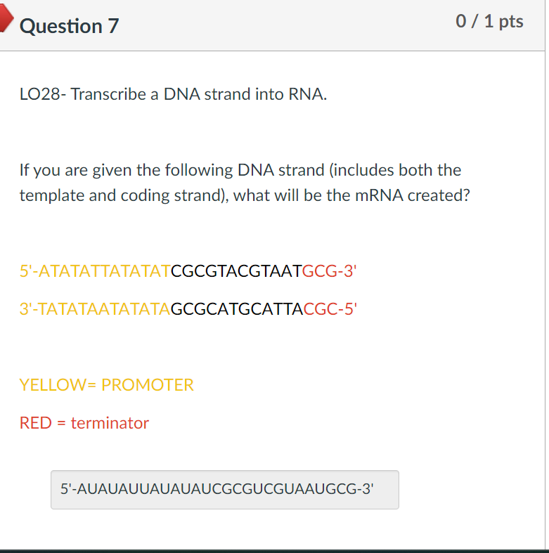 Question 7 0 / 1 pts LO28- Transcribe a DNA strand into RNA. If you are given the following DNA ...