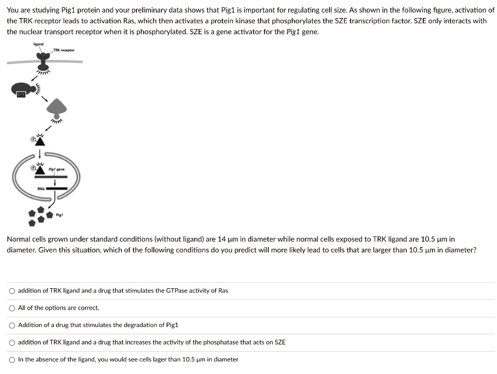 SOLVED:You are studying Pig1 protein and your preliminary data shows ...
