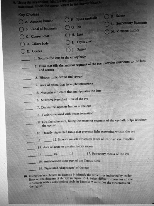 9using the ksy statementsinsert the correct letters in the anewes key choices ksclera aaqucous ...