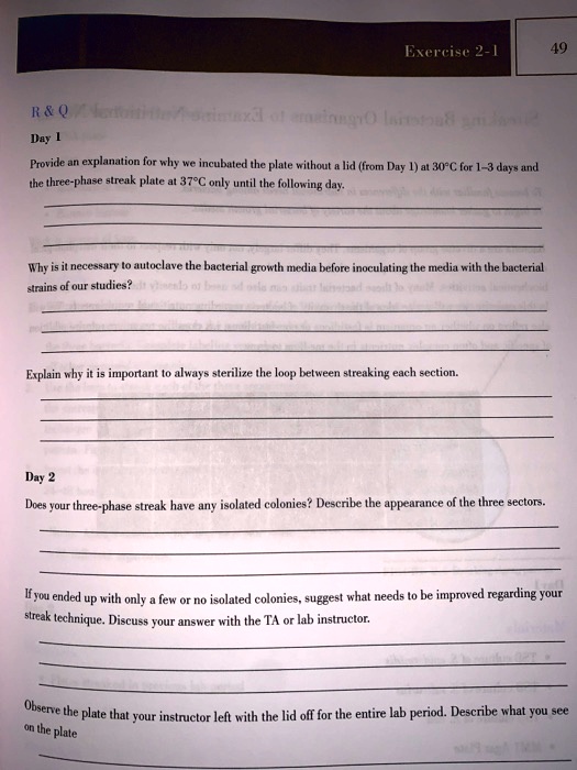 SOLVED: Text: Exercise 2 | R Q Day Provide an explanation for why ...