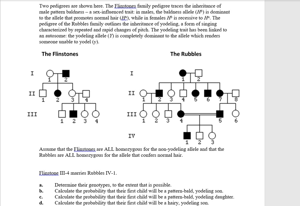 Two pedigrees are shown here: The Flintstones family pedigree traces ...