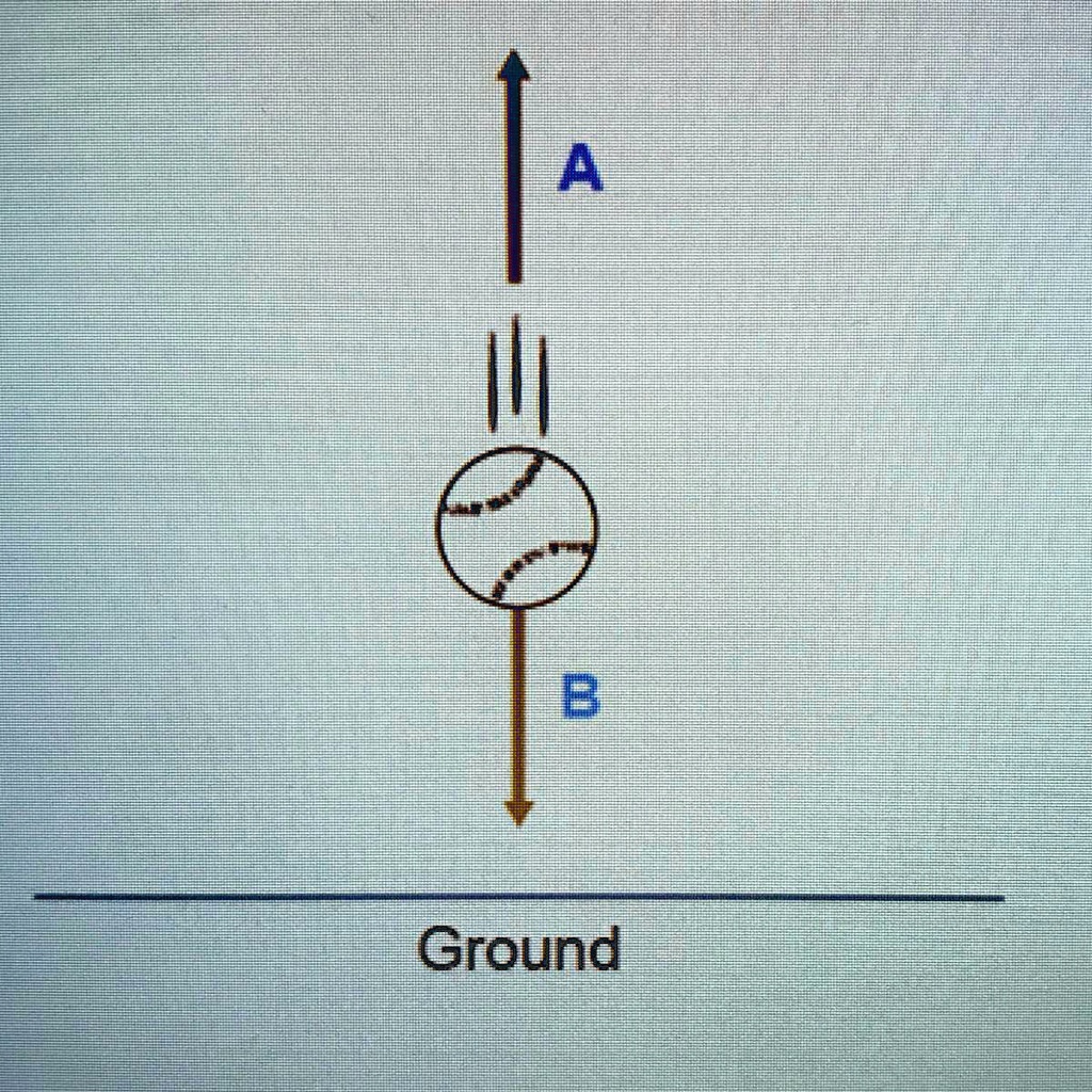 SOLVED: A and B are forces acting on a falling object. Which force, A ...