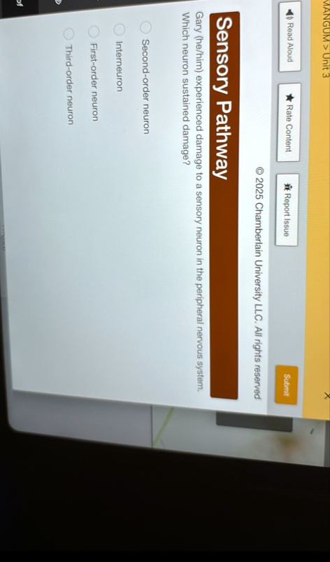 mangum unit 3 read aloud rate content report issue submit 2025 chamberlain university llc all ...