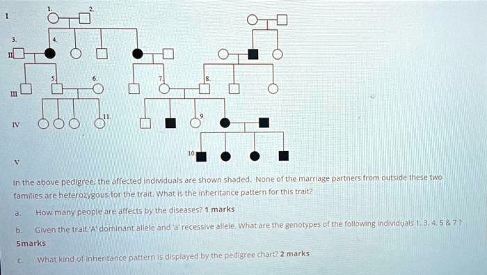2 1 3. 5 6. 7 8. III IV 11 10. 9 V In the above pedigree, the affected ...