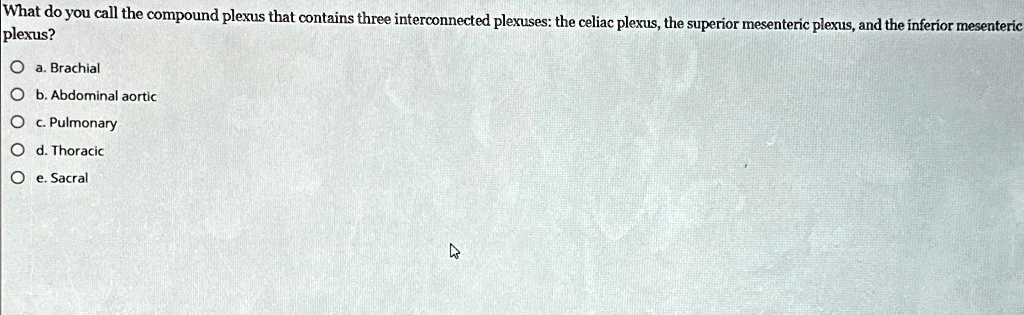 What do you call the compound plexus that contains three interconnected ...