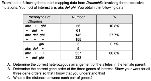 SOLVED: Examine the following three-point mapping data from Drosophila involving three recessive ...