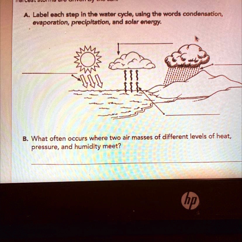 A. Label each step in the water cycle, using the words condensation ...