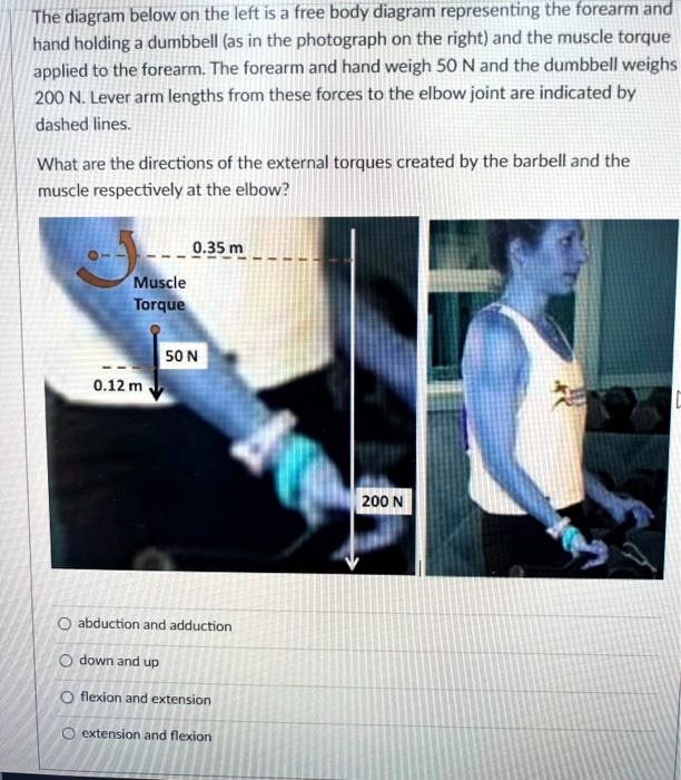 The diagram below on the left is a free body diagram representing the ...