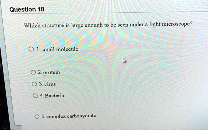SOLVED: Which structure is large enough to be seen under a light ...