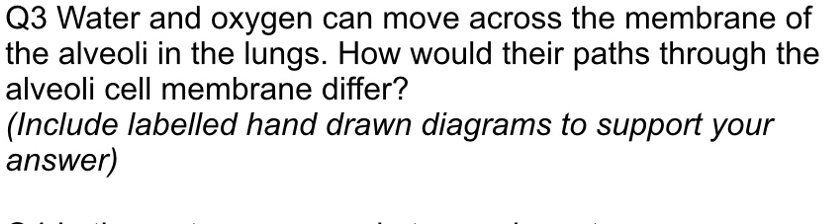 q3 water and oxygen can move across the membrane of the alveoli in the ...