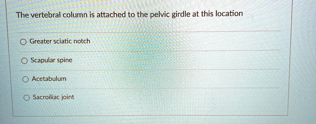The vertebral column is attached to the pelvic girdle at this location ...