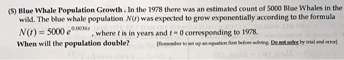 blue whale fopulation growth in the 1978 there was an estimated count ...