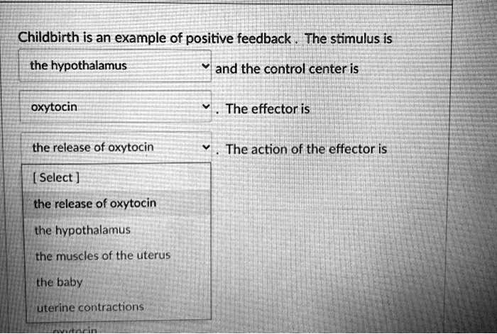 SOLVED: Childbirth is an example of positive feedback The stimulus is ...
