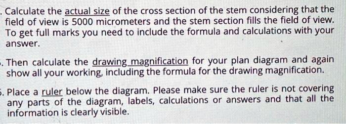 SOLVED: Calculate the actual size of the cross section of the stem ...