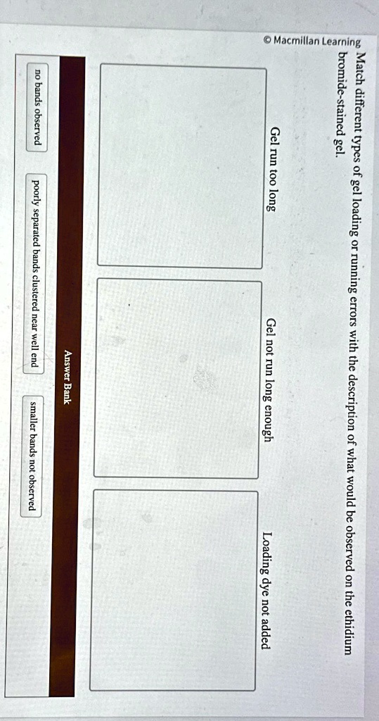 Macmillan Learning Match different types of gel loading or running ...