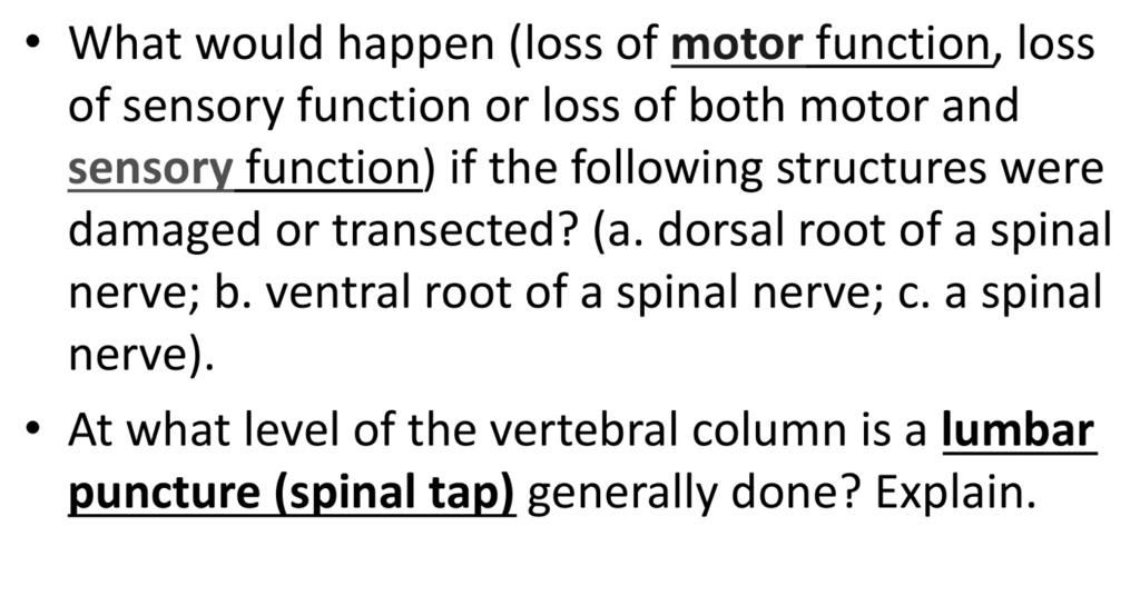 SOLVED: What would happen (loss of motor function, loss of sensory ...