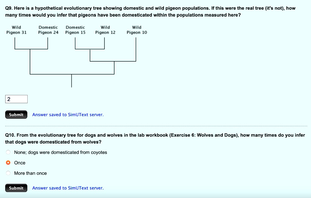 q9 here is a hypothetical evolutionary tree showing domestic and wild ...