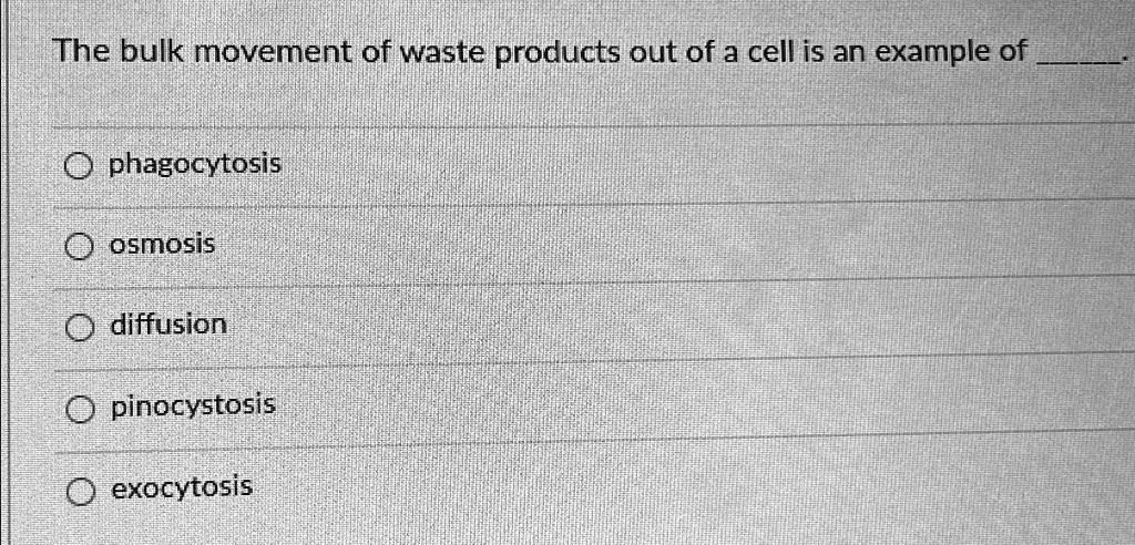 SOLVED: The bulk movement of waste products out of a cell is an example ...