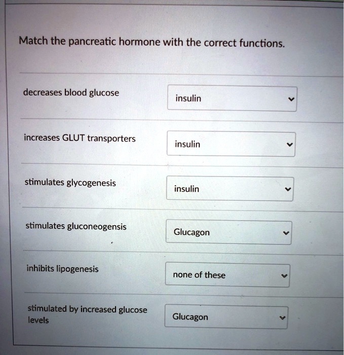 SOLVED: Match the pancreatic hormone with the correct functions ...