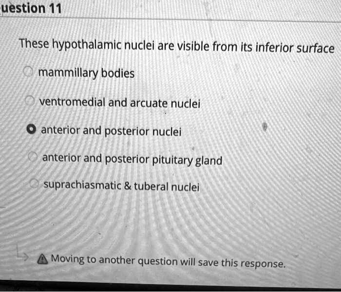 SOLVED: These hypothalamic nuclei are visible from its inferior surface ...