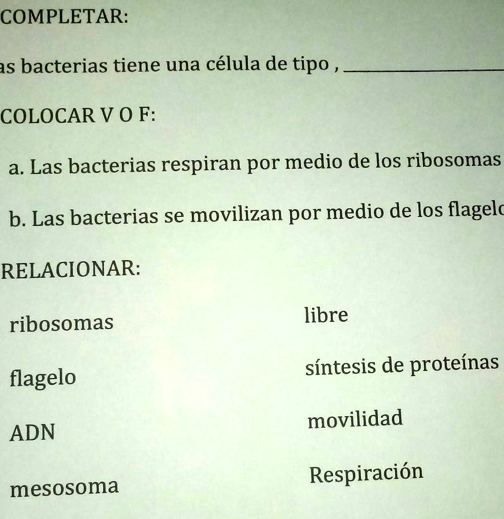 SOLVED: quiero que me ayuden plz para hoy COMPLETAR: 1s bacterias tiene ...