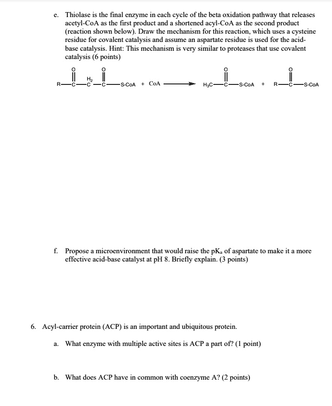 e. Thiolase is the final enzyme in each cycle of the beta oxidation ...