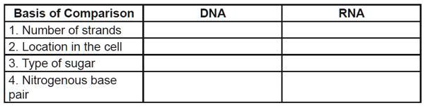SOLVED: Compare the structures of the DNA and RNA molecules. Fill in ...