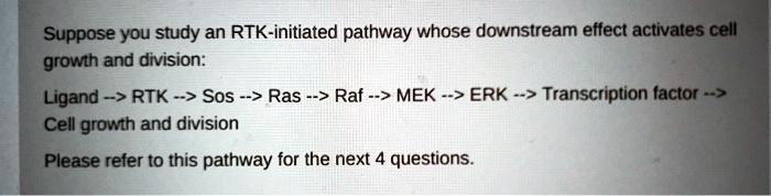 SOLVED: Suppose you study an RTK-initiated pathway whose downstream ...