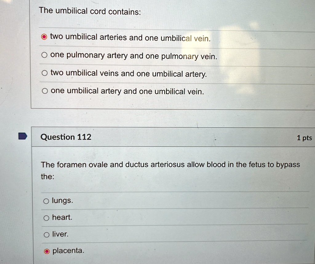 The umbilical cord contains: two umbilical arteries and one umbilical ...