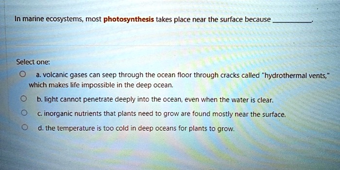 SOLVED: In marine ecosystems most photosynthesis takes place near the ...