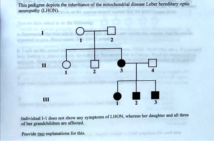 SOLVED: This pedigree depicts the inheritance of the mitochondrial ...