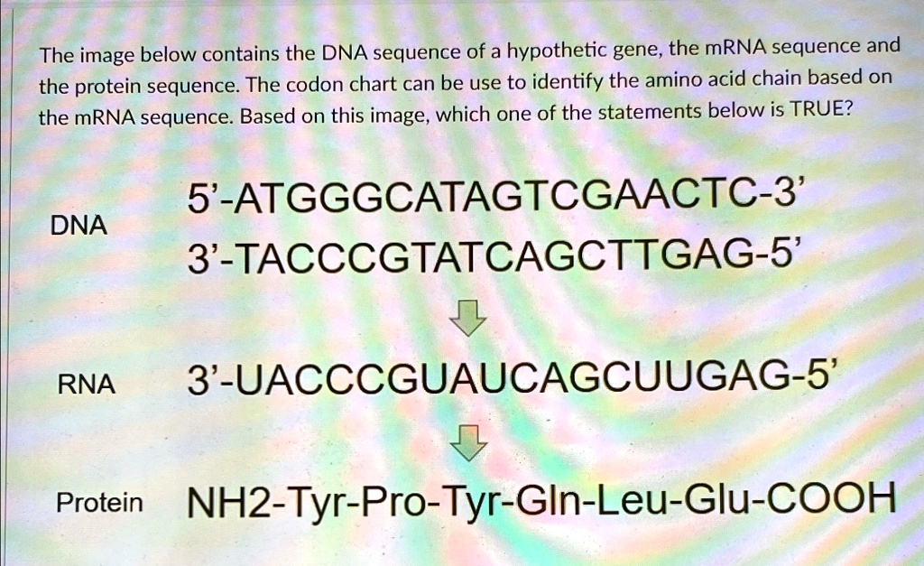 the image below contains the dna sequence of a hypothetical gene the mrna sequence and the ...