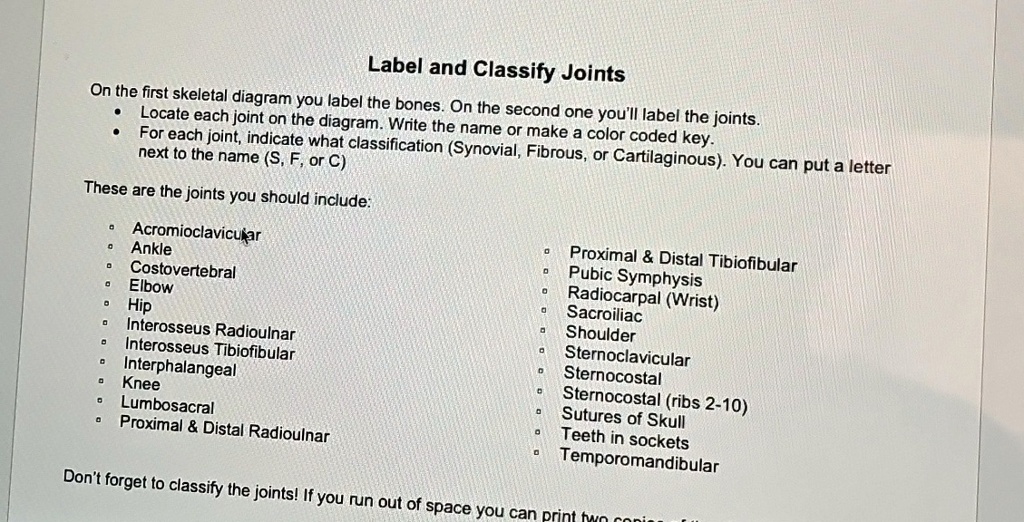 Label and Classify Joints On the first skeletal diagram you label the ...