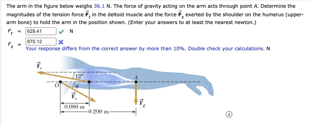 Solved The Arm In The Figure Below Weighs 361 N The Force Of Gravity Acting On The Arm Acts